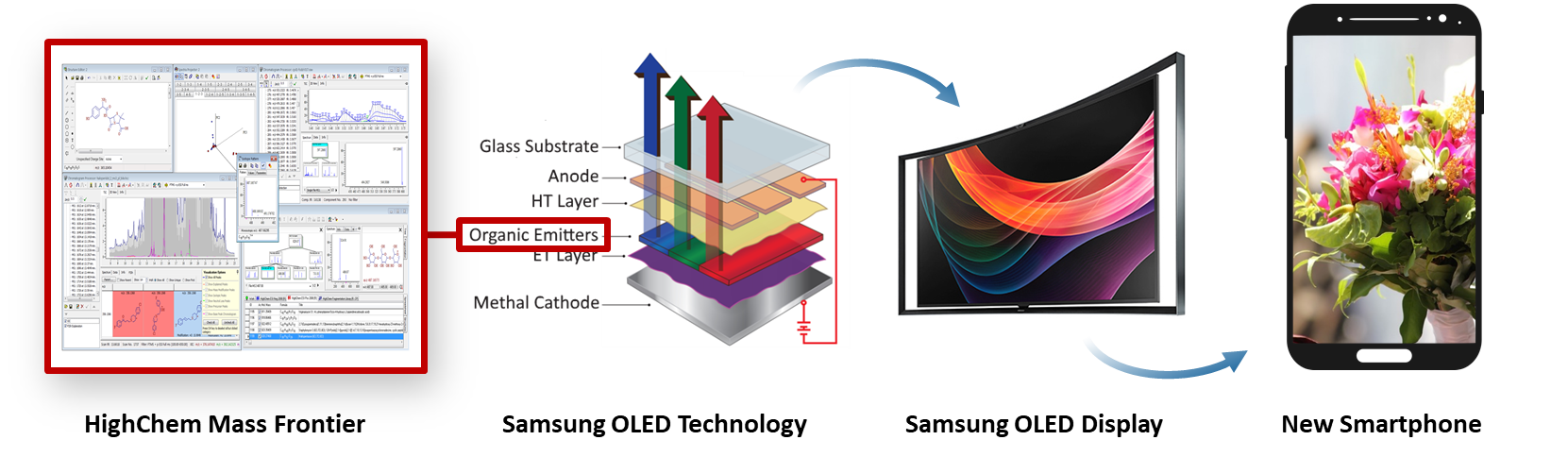 Highchem – EXCornsEED