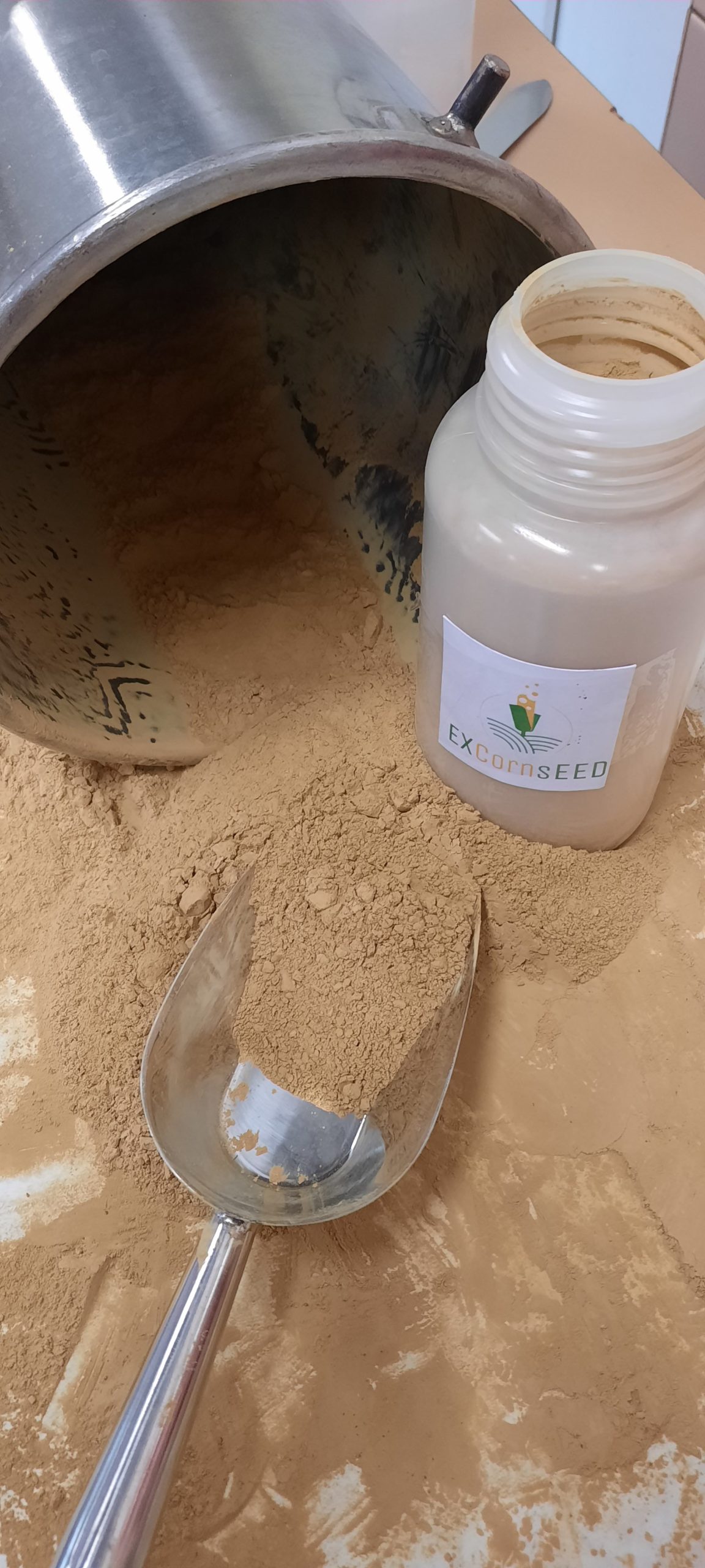 The EXCornsEED rapeseed meal protein! – EXCornsEED